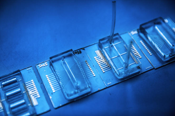 CNRS Innovation » Biomemory : le stockage des données sur ADN pour les ...